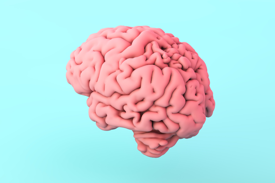 Debunking the Learning Style Myth Debunking the Learning Style Myth